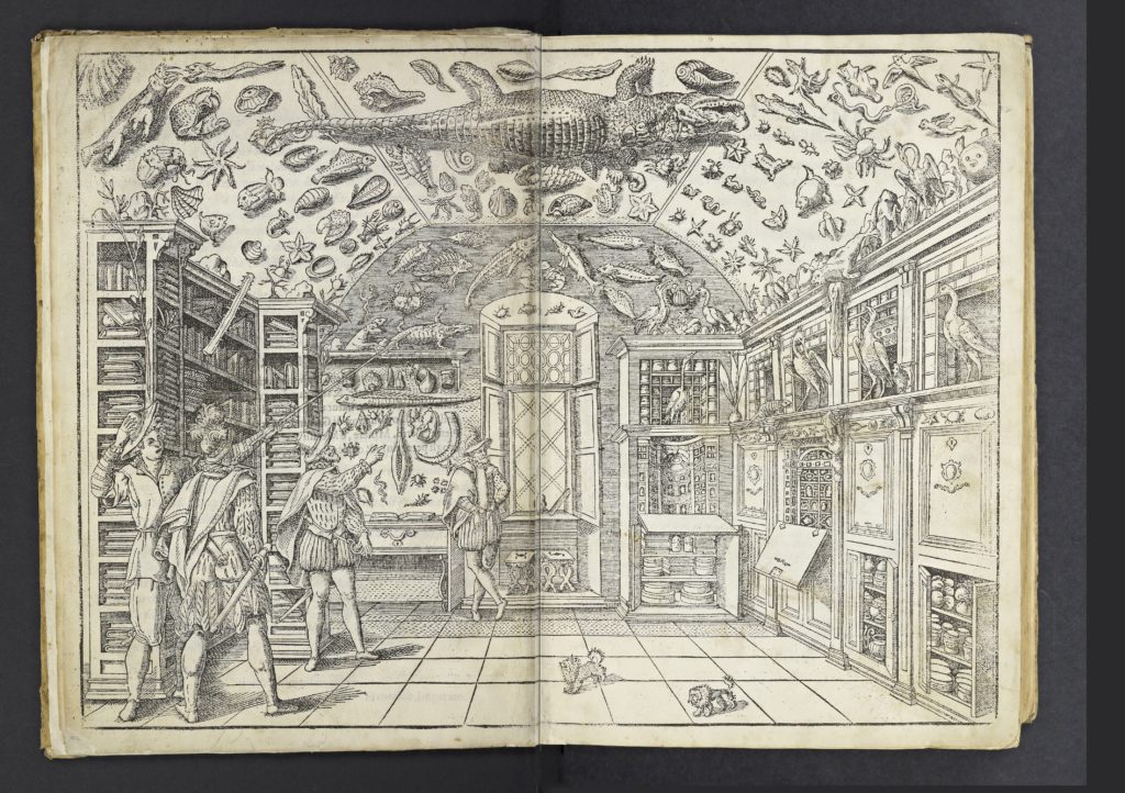 Collecting nature - Illuminating Objects